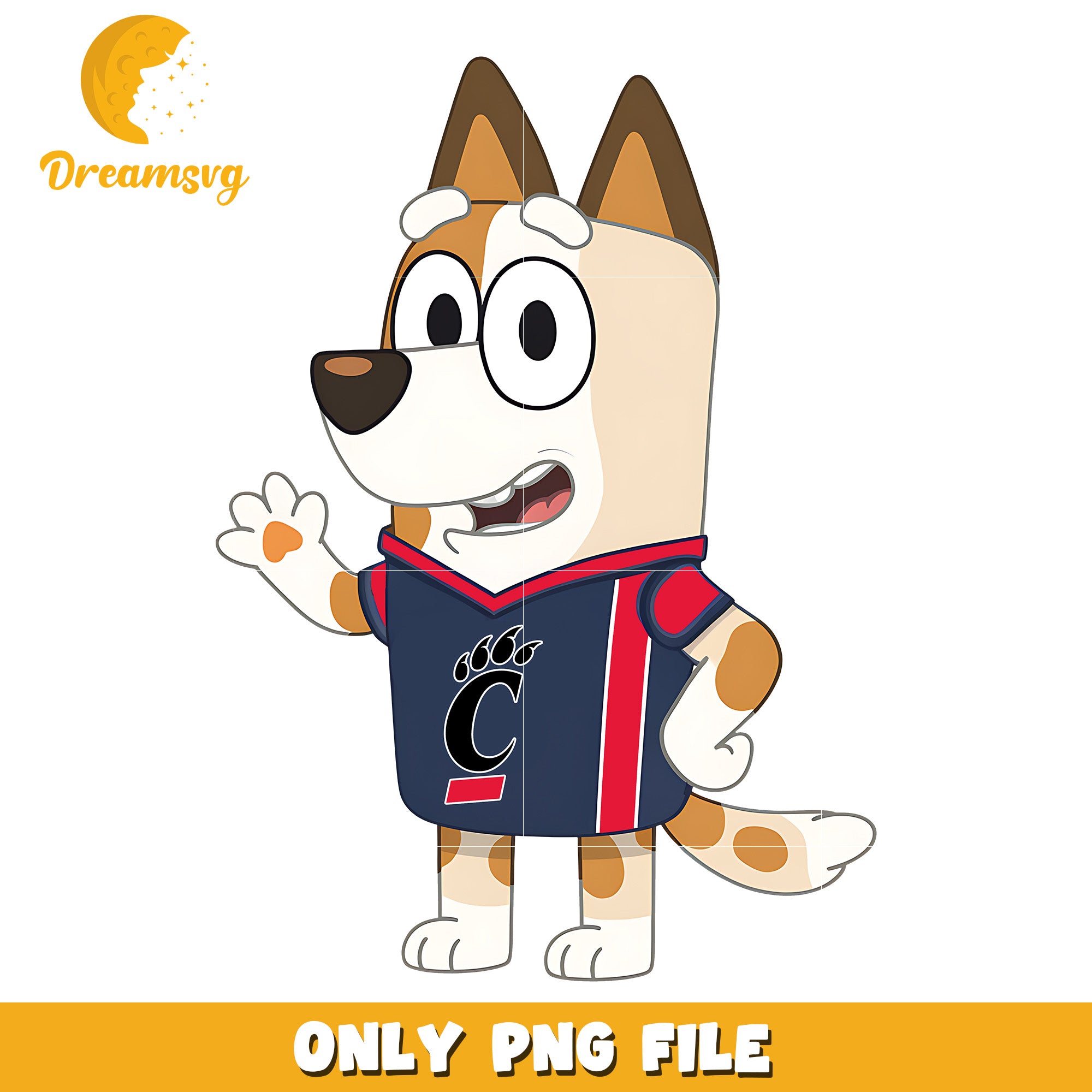 Bingo fan ncaa teams png, Cincinnati Bearcats png, ncaa png – DreamSVG ...