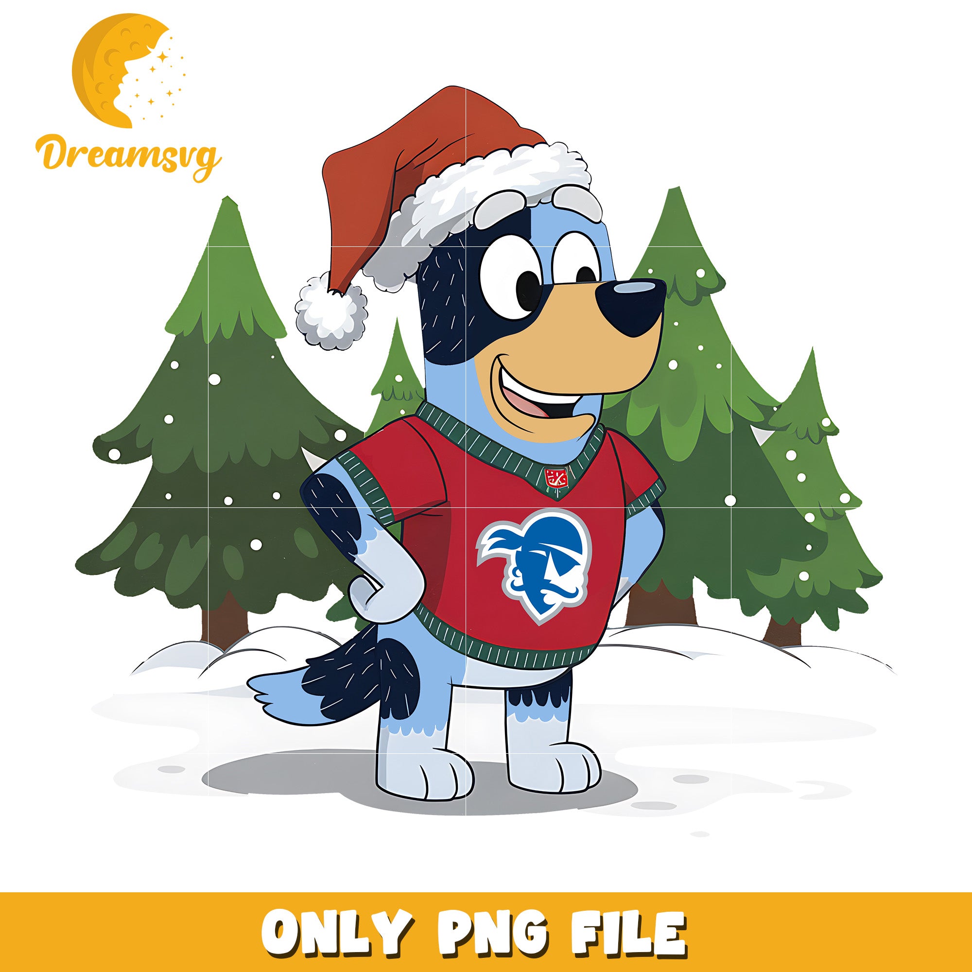 Bluey dad Pirate christmas tree farm png, Seton Hall Pirates png ...