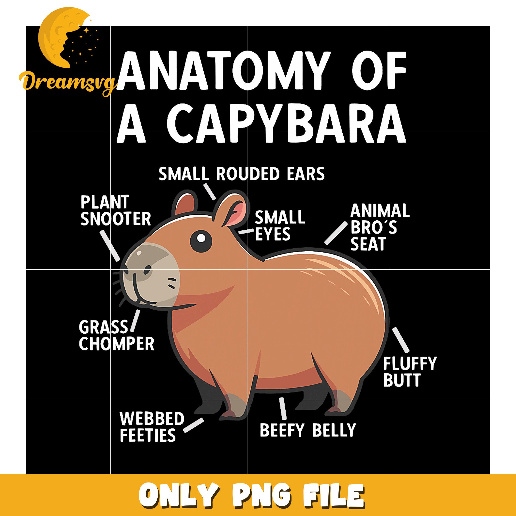 Capybara Anatomy PNG Funny Animal Diagram – DreamSVG Store