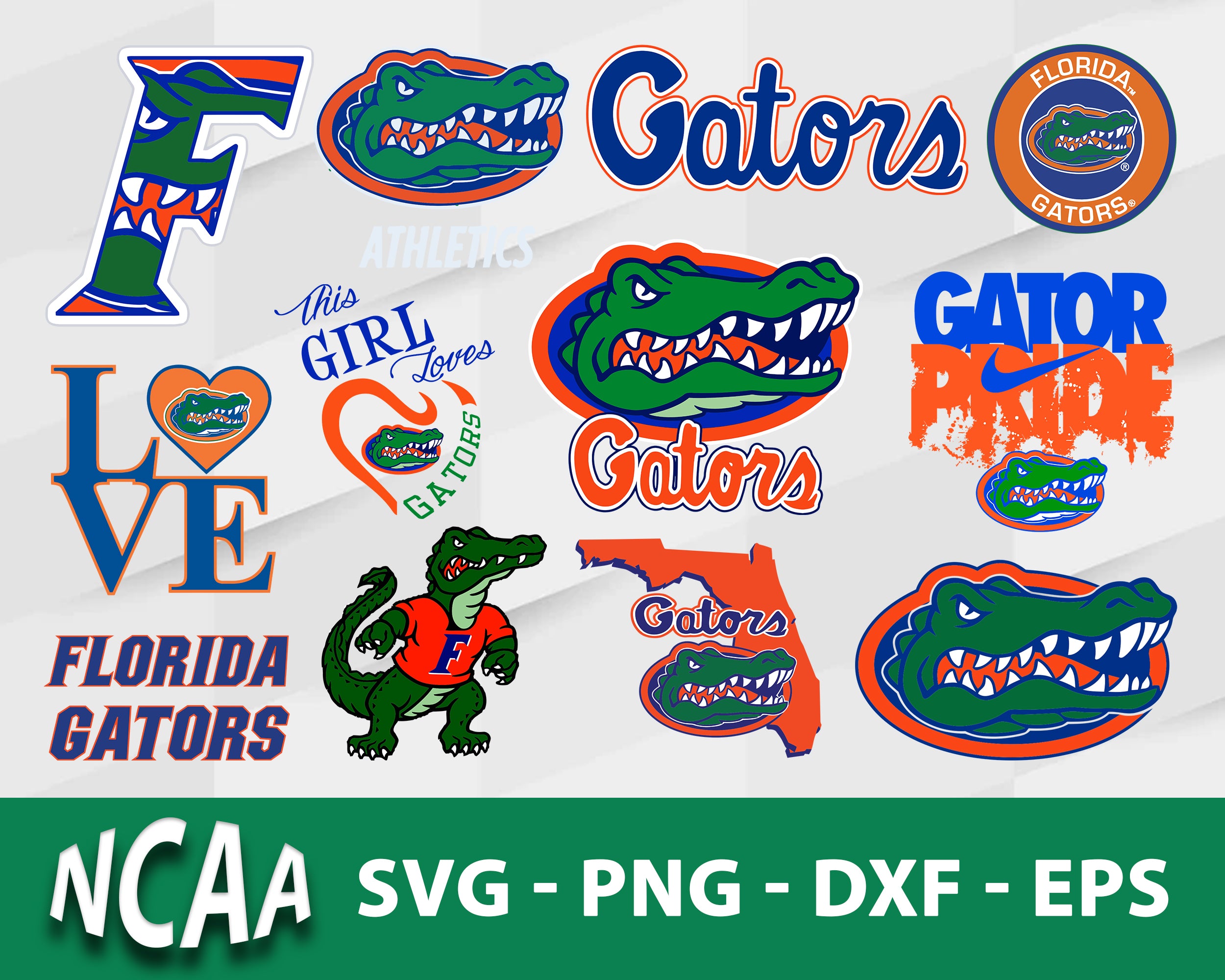 Florida Gators Svg Bundle, Florida Gators Svg, Sport Svg, Ncaa Svg, Pn ...